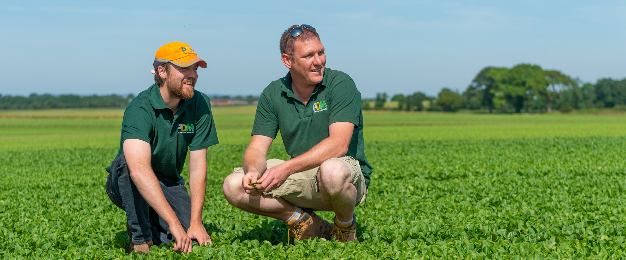 Field Based Harvesting Team Members - PDM Produce