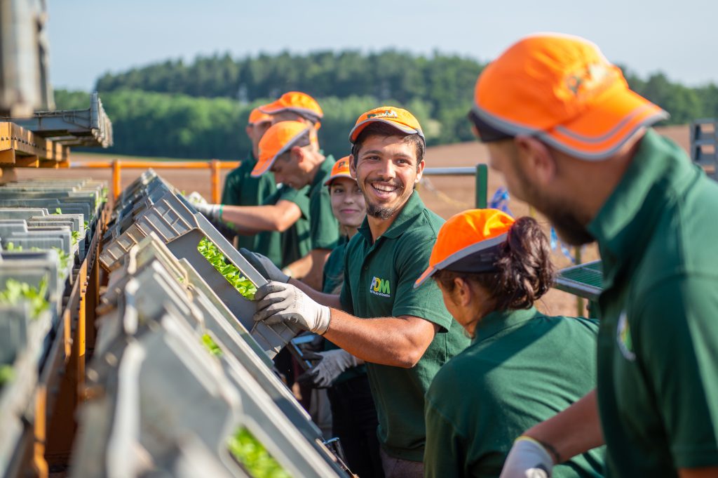 Recruitment - PDM Produce