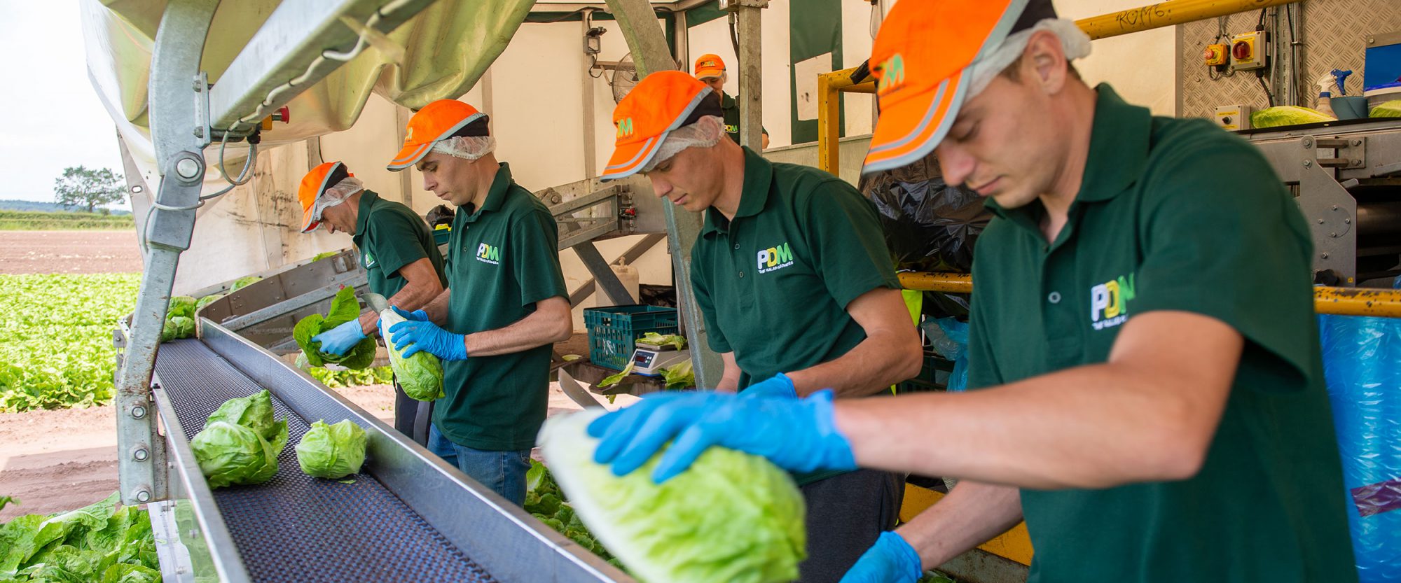 Seasonal Work Archives - PDM Produce